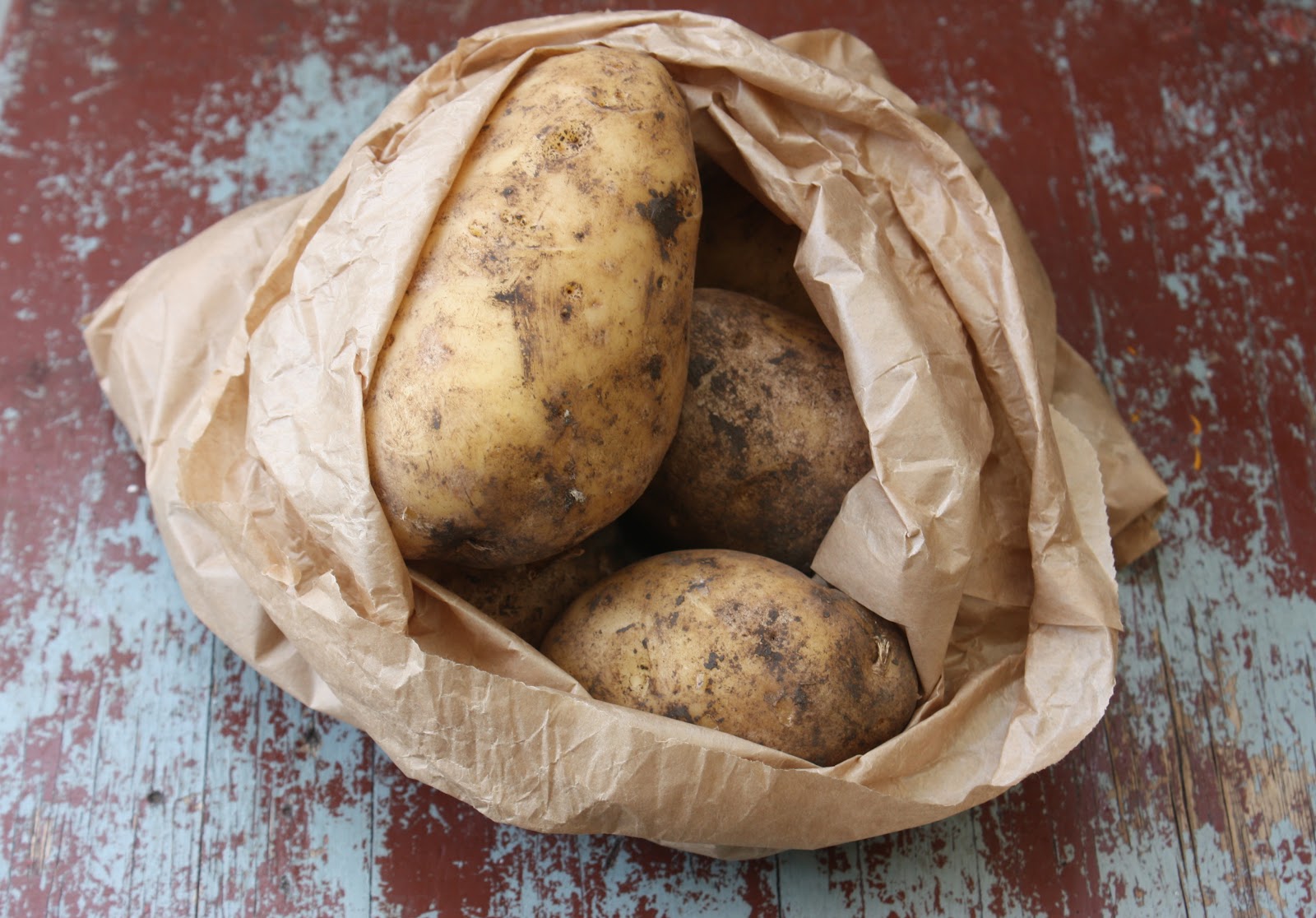 The Vegetarian: Potato Dosa