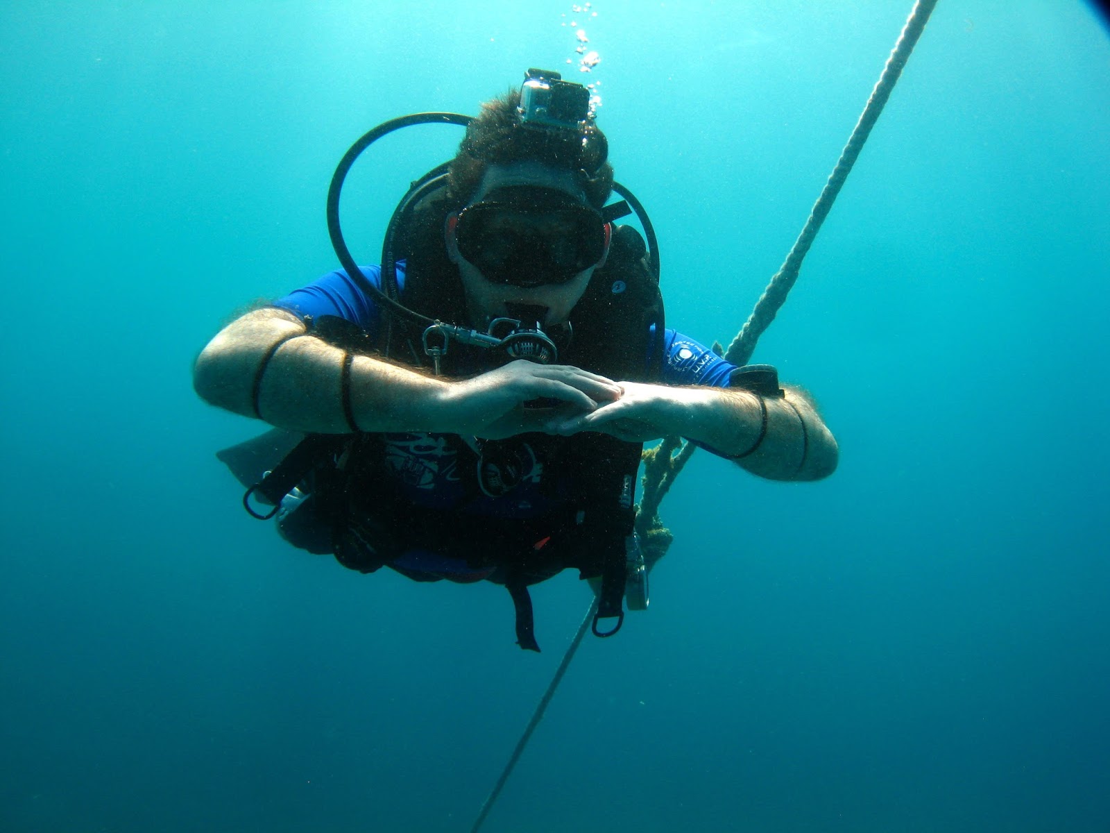 The Shekel - Coins, Law, and Commentary: Tortola Dive #2 - The Wreck Of ...