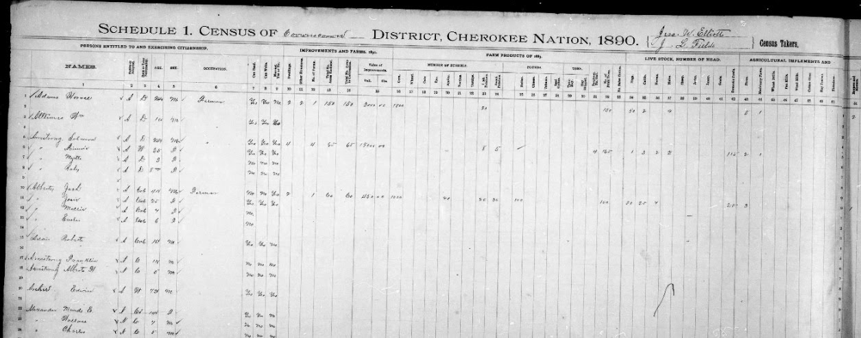 My Ancestor's Name: Exploring the Cherokee 1890 Census