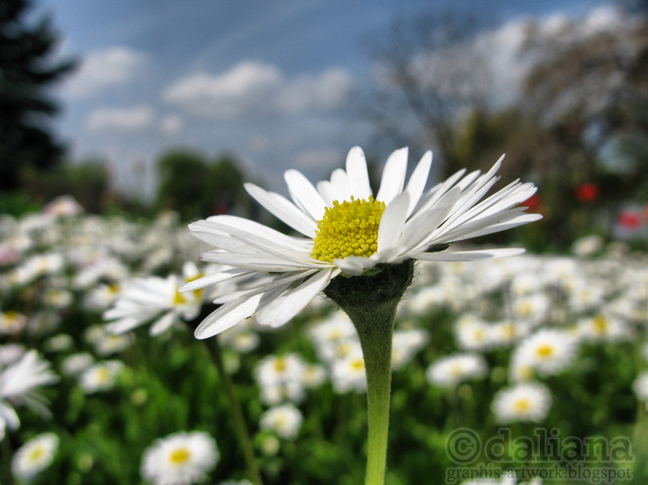 Photographis: February 2011