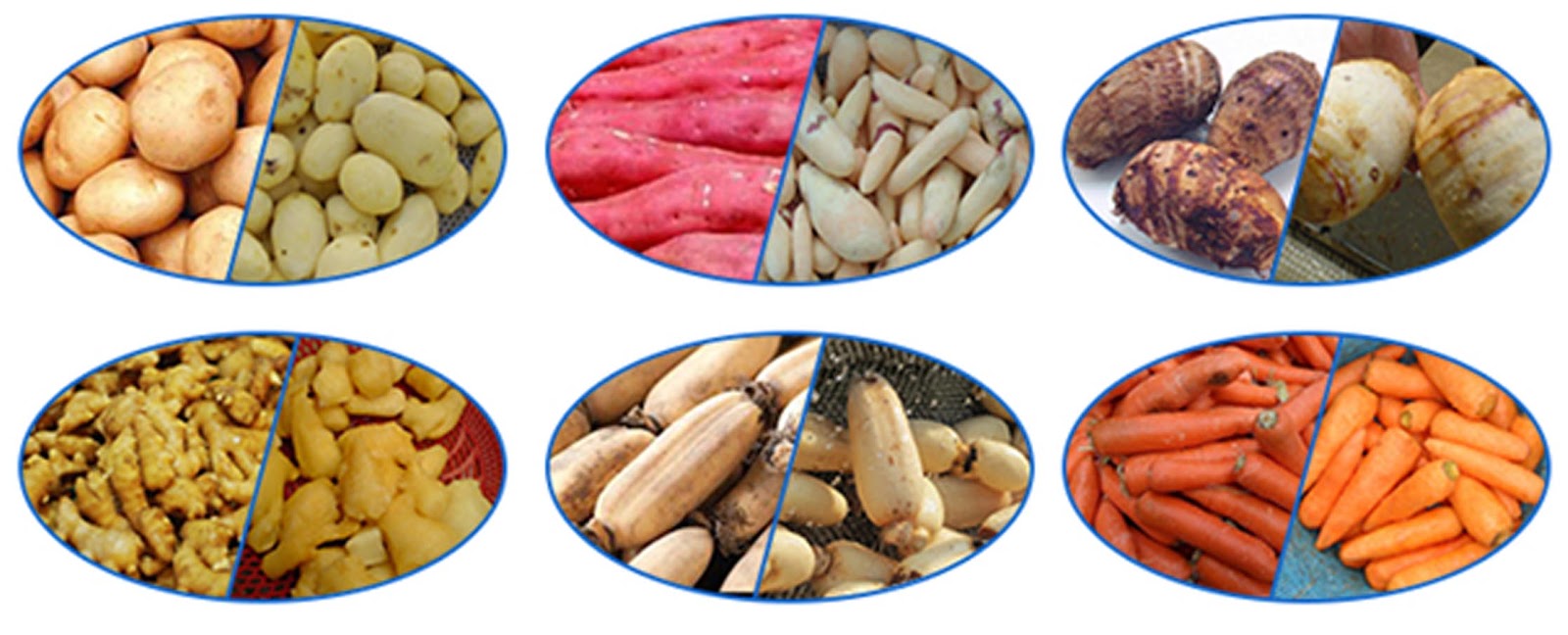 Mesin Pencuci Rimpang Untuk Buah dan Sayuran - CV. Samudra Jaya Rubber ...