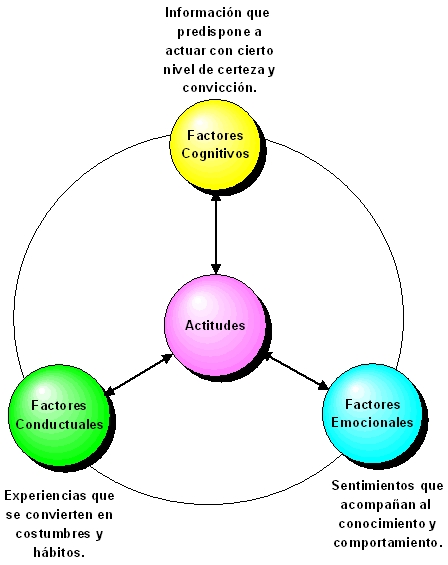 Psicología Social: Actitudes: Estructura y Funciones