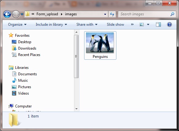 The World of PHP : Form Upload Image