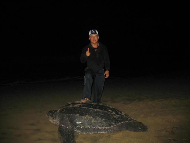 Coyuca de Benítez, Guerrero.: G A R A P A C H O S