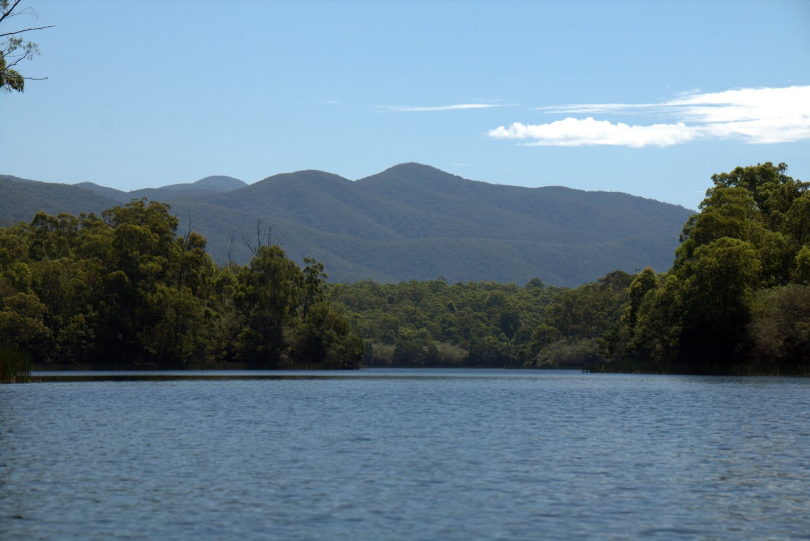 its just my life: Brogo Dam