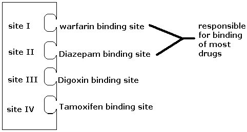 PLASMA PROTEIN BINDING