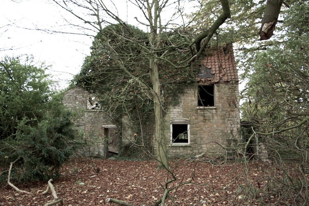 Our Cosmic Love.: Nettleham Hall.