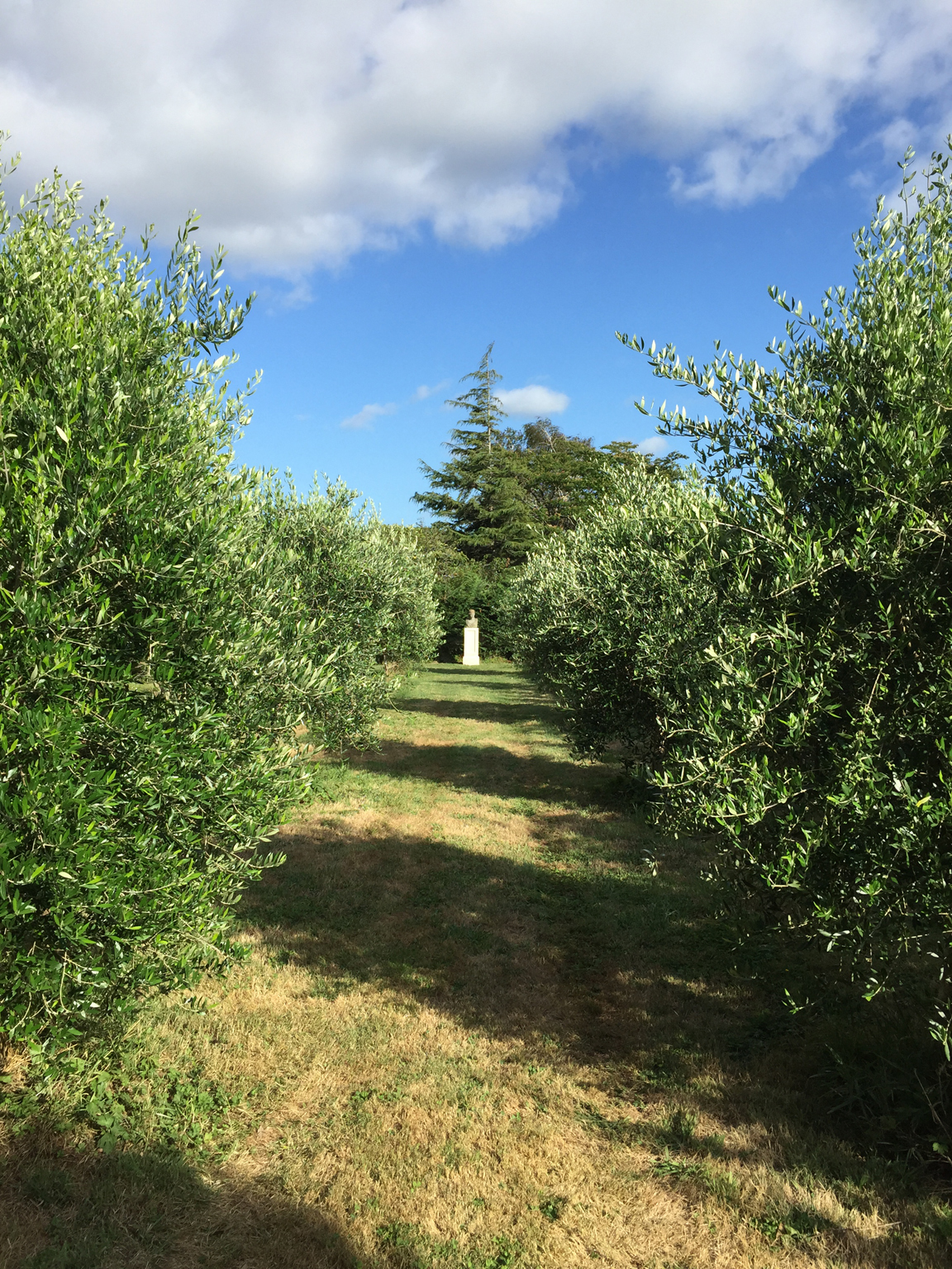 Willowbrook Park: The Gardens
