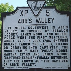 Climbing My Family Tree: The First Looneys in America