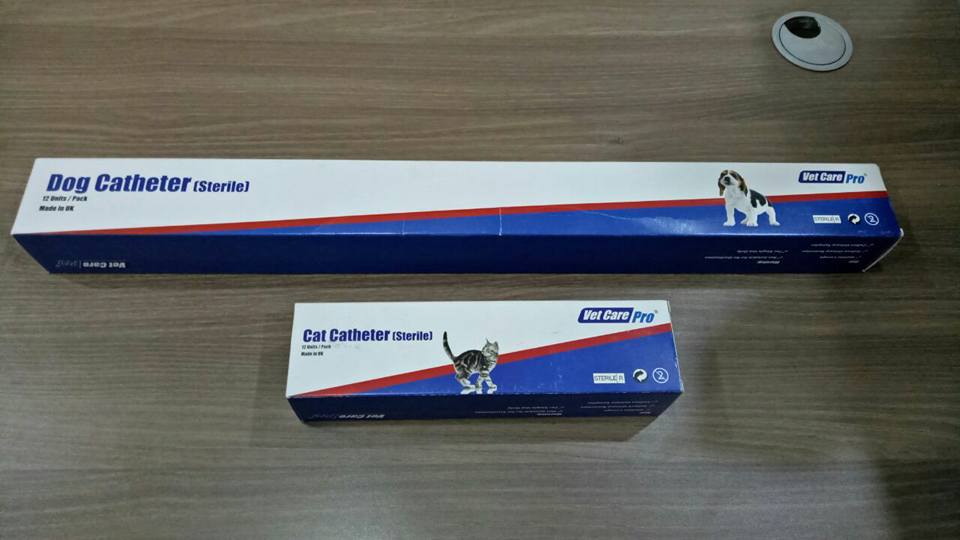 jual kateter anjing dan kucing