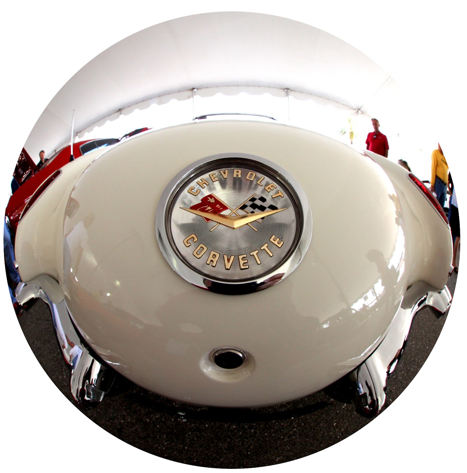 FISHEYE FOR THE PHOTO GUY: Barrett Jackson Palm Beach 2013 Auction