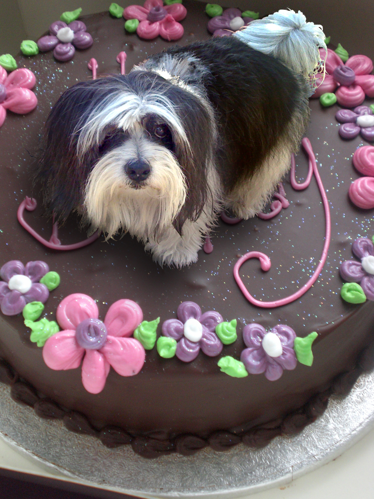 Truffle Stuffed Roast Chicken ala Joel Robuchon - Tout va bien! (tm)