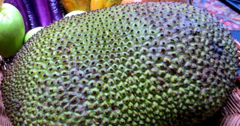 Glossary of Common Fruits of Nepal (English-Nepali) - Part 2