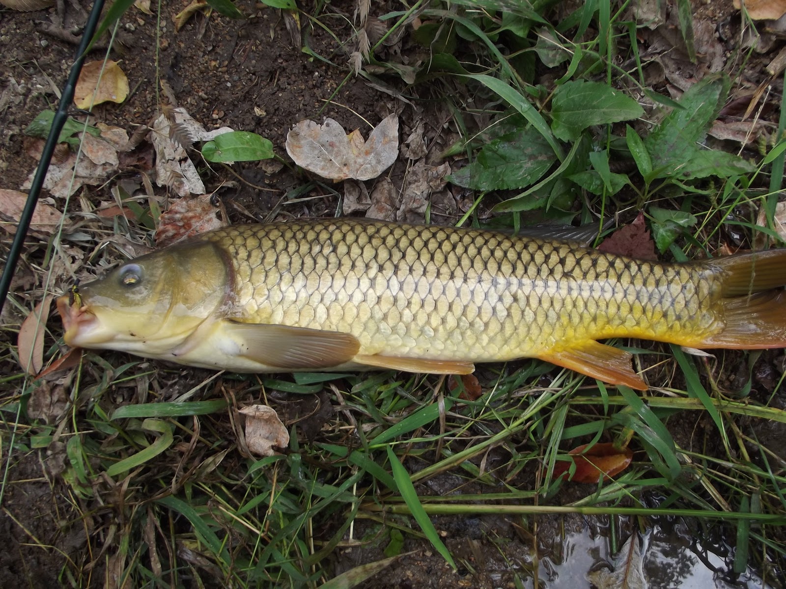 Drifting The Prairie Ocean Outdoor Journal: A Short Afternoon Of ...