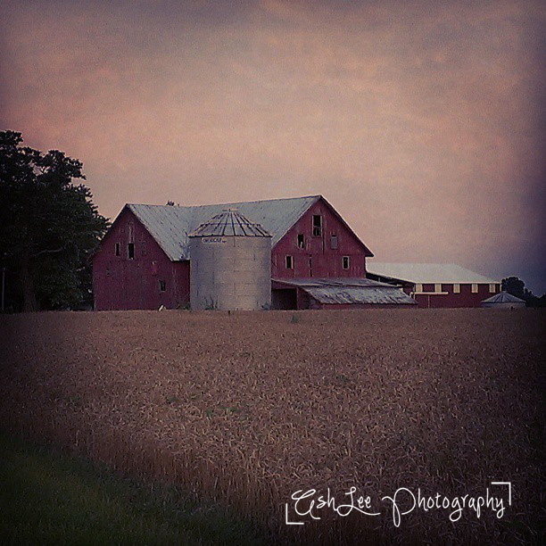 AshLee Photography: Barn Love