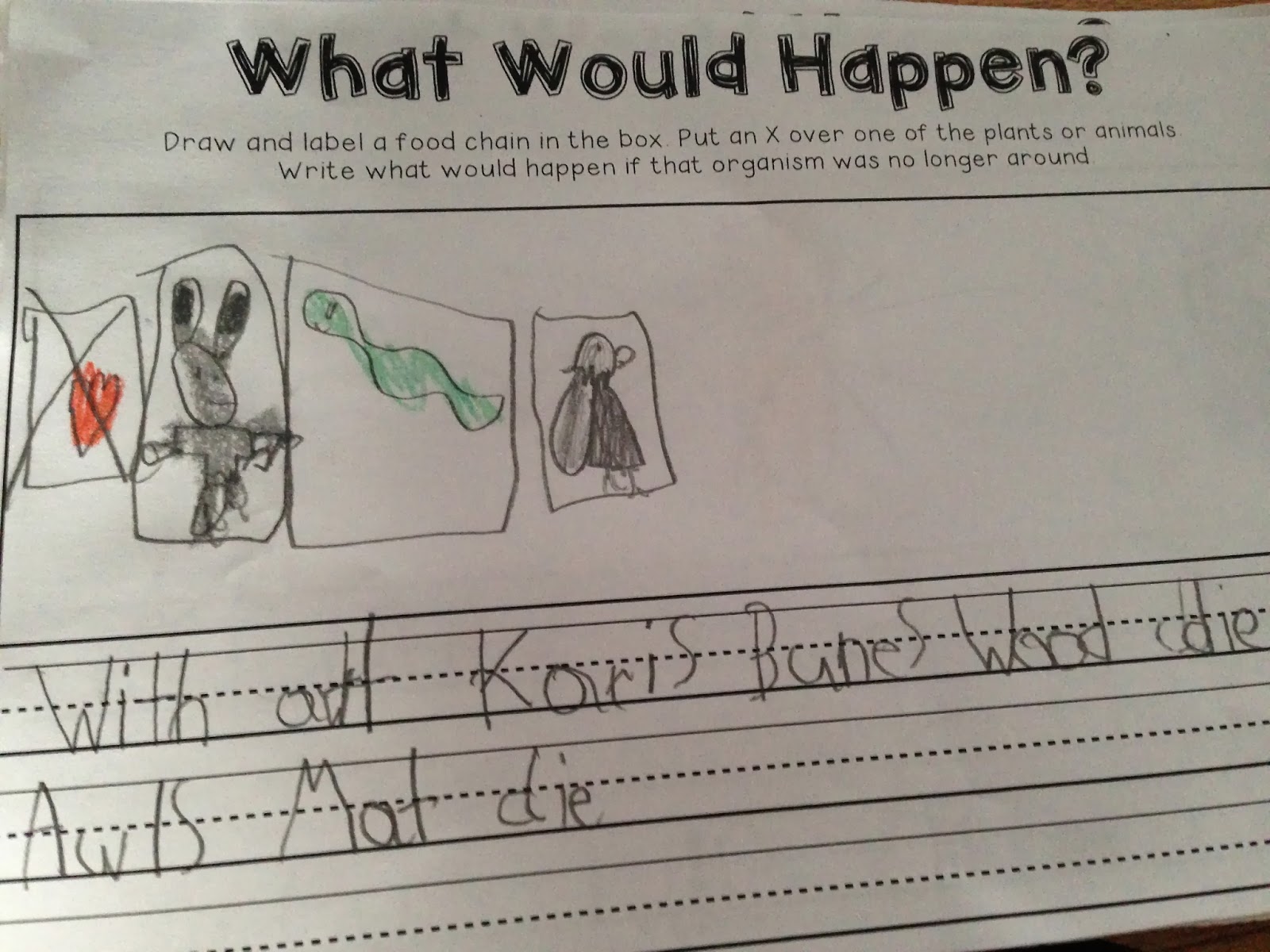 The Adventures of a K/1 Teacher: Habitats & Food Chains