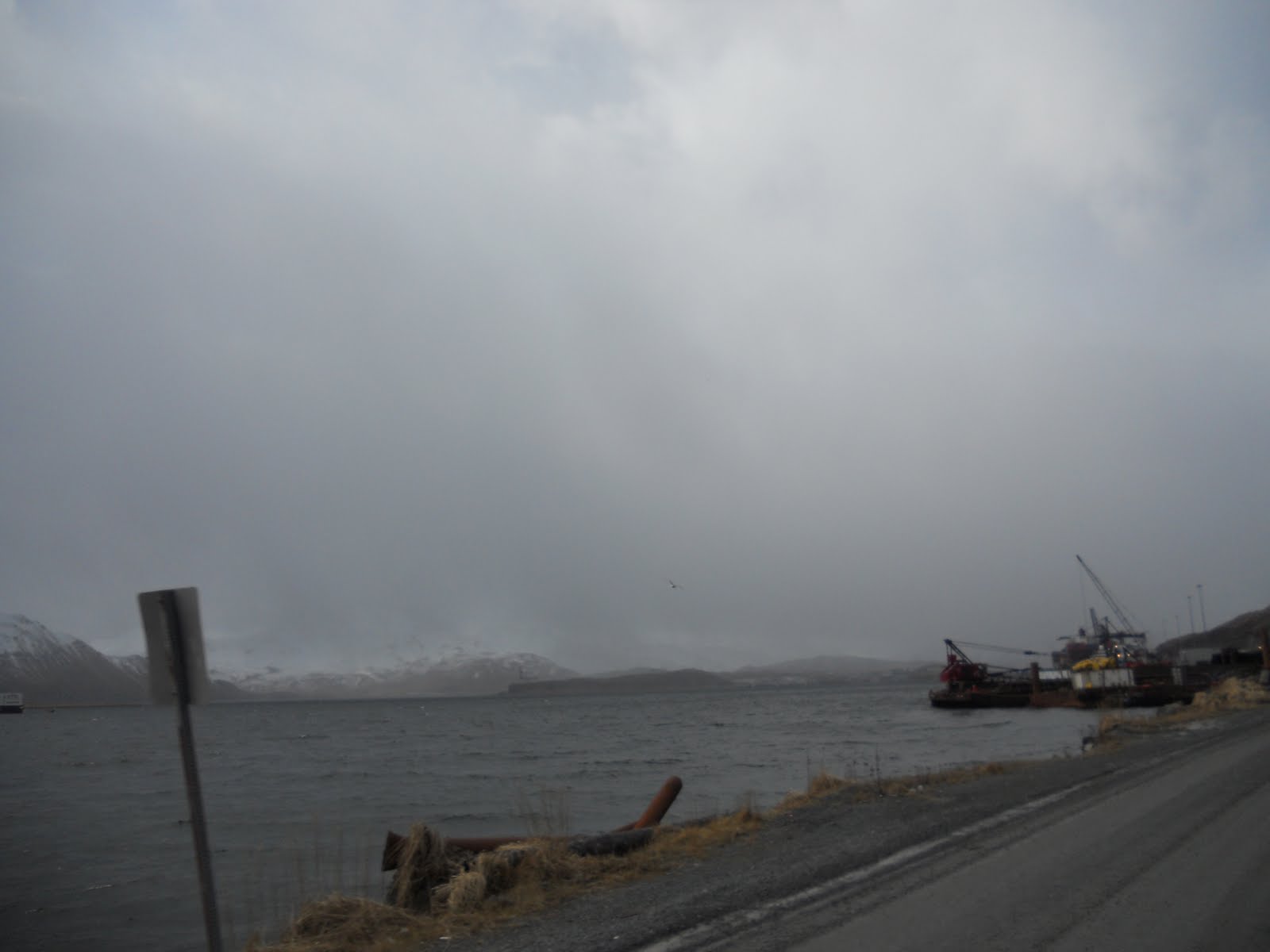 Dutch Harbor Dirt to Nome Dirt: After the Storm, Soup Off for U-SAFV ...