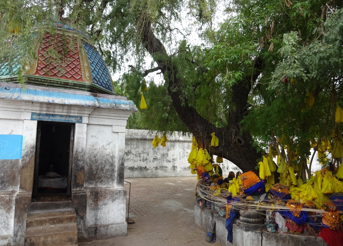 Tamilnadu Tourism: Paampuranathar Temple, Thirupampuram – The Temple