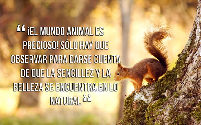 frases de animales colección 02 - frases de la vida