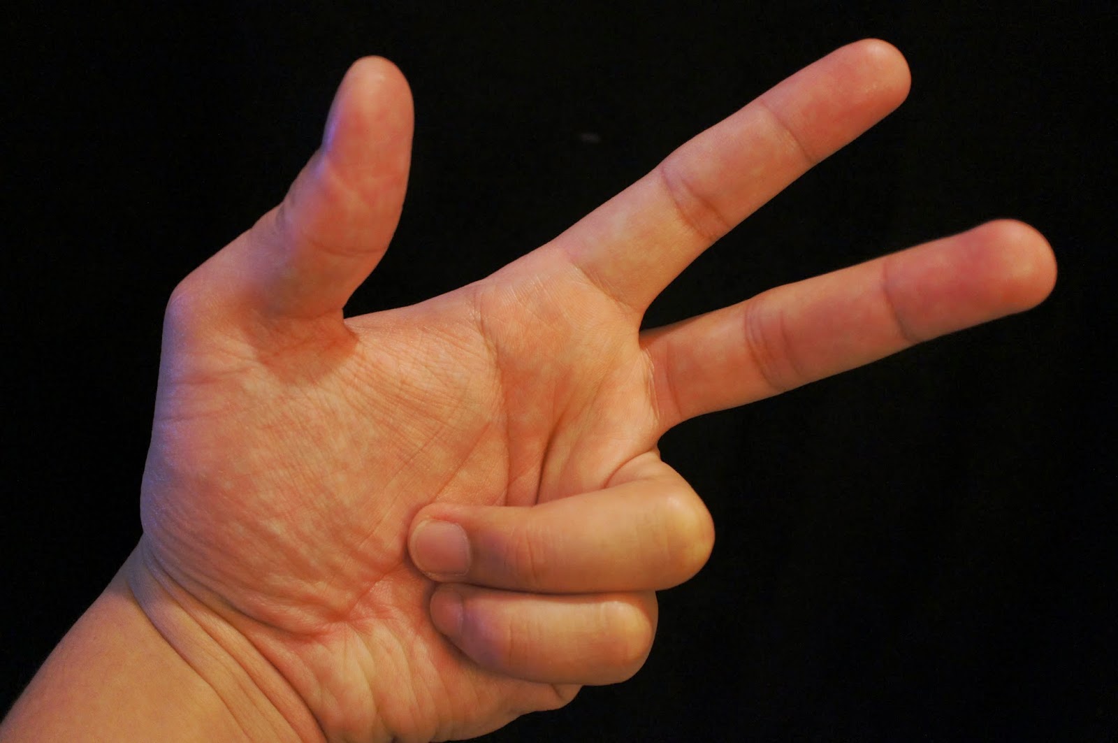 38 American sign language free stock photos to download, letters and ...