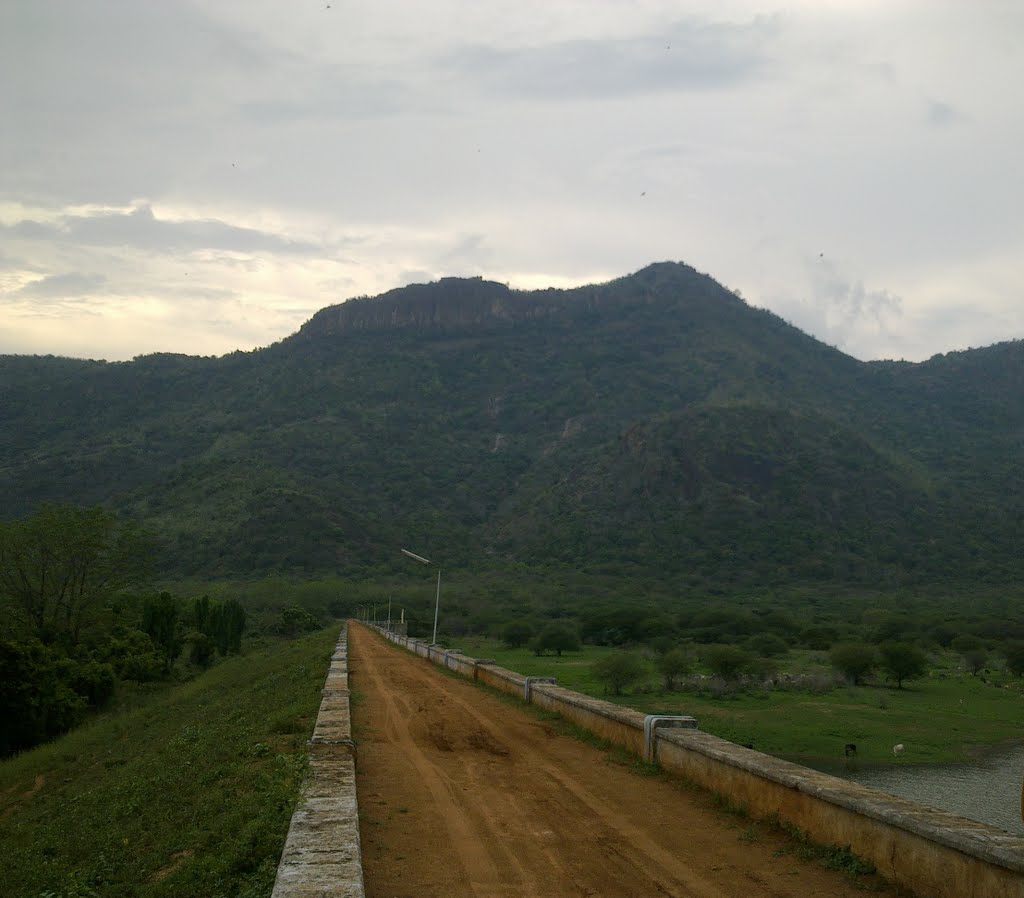 Tamilnadu Tourism: Pilavakkal Dam, Vathirairuppu (Watrap), Virudhunagar
