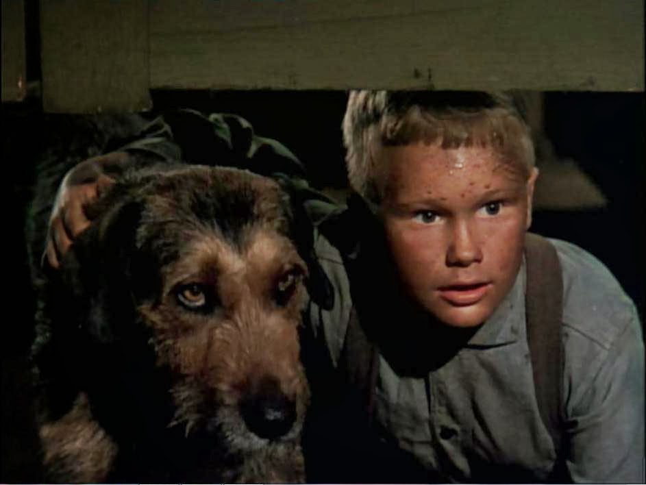 Films Worth Watching: Shane (1953) - Directed by George Stevens