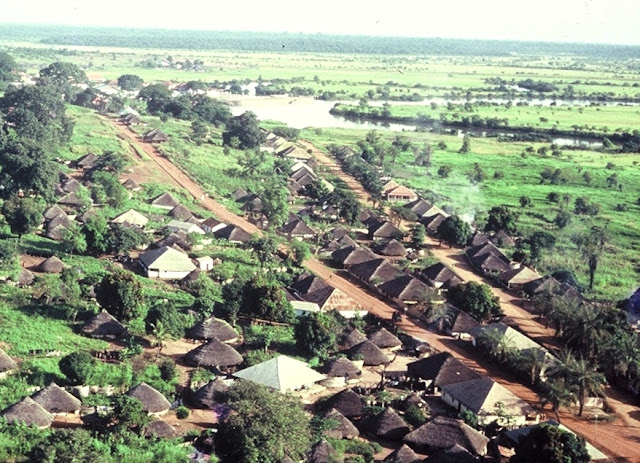 Luís Graça & Camaradas da Guiné: Guiné 63/74 - P11310: Memória dos ...