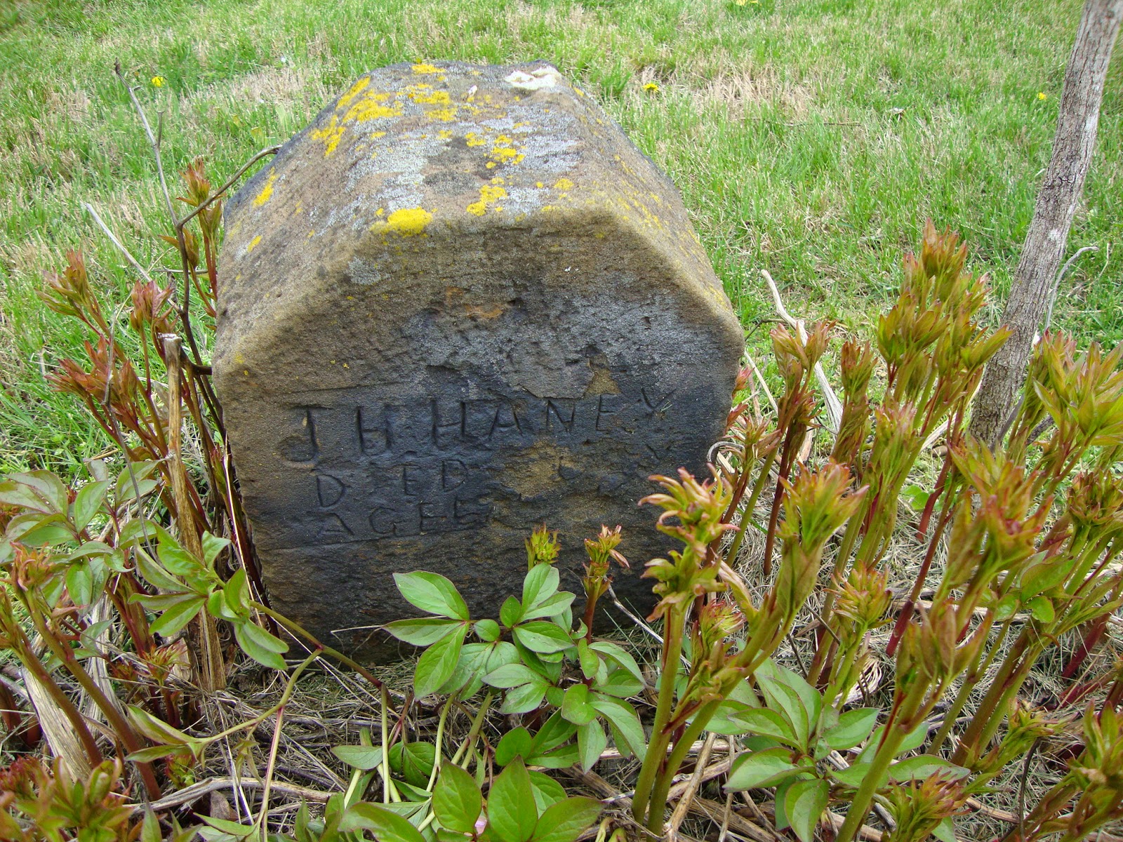 Becky Vickers(BECKS) - Everyday Ghost Hunters/Goatman's Bridge Ghost ...