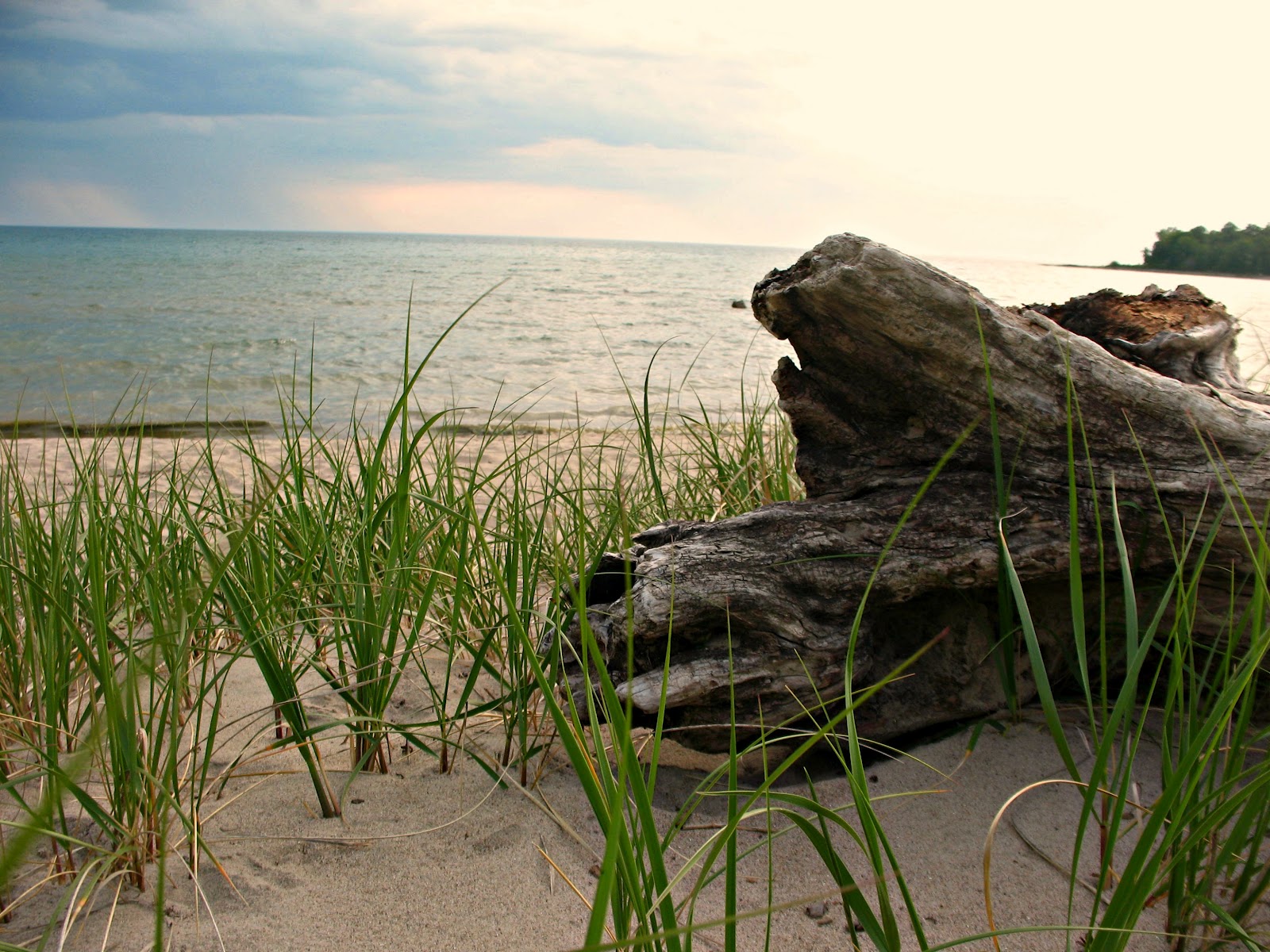 Dundas Valley Outdoors: Getaway to Inverhuron Provincial Park