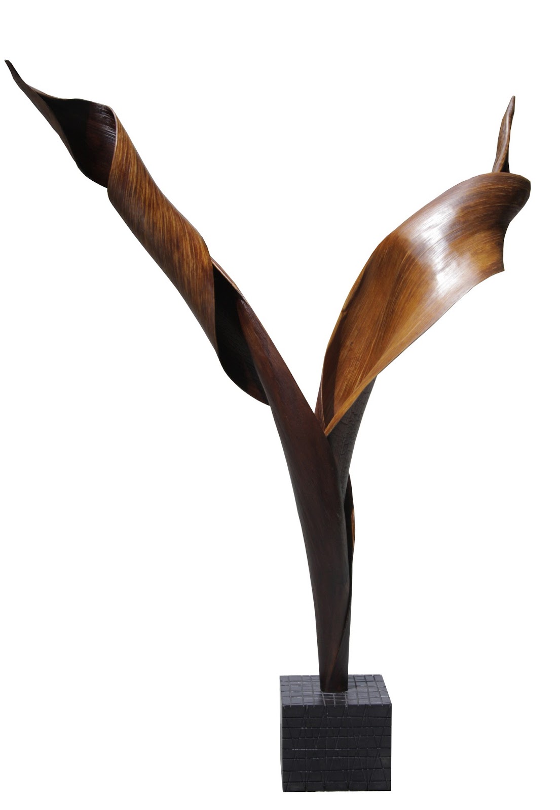 INEDIT: Esculturas de hojas de Pambil