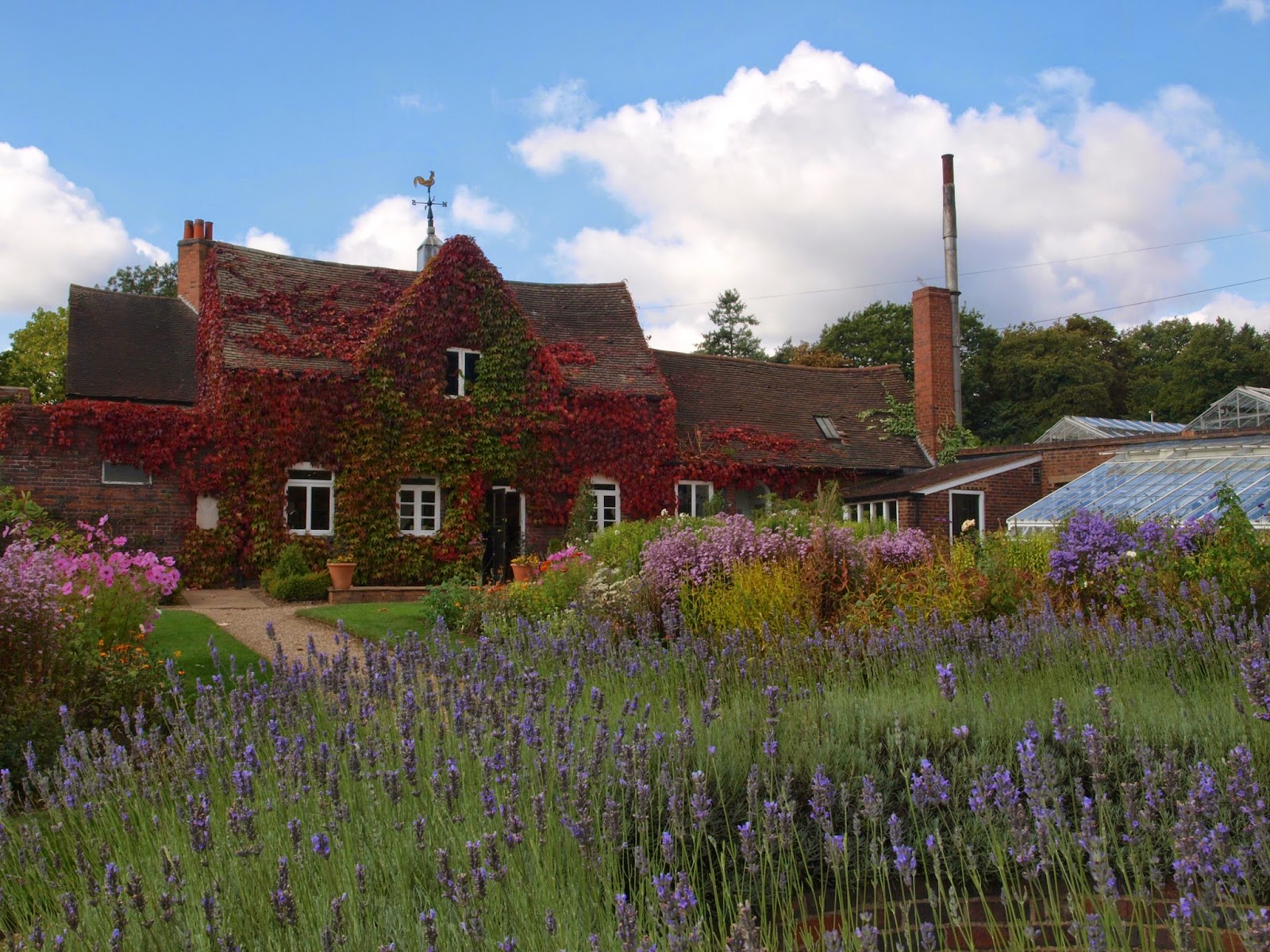 Ragged Robin's Nature Notes: Very Brief Visit to Winterbourne House and ...