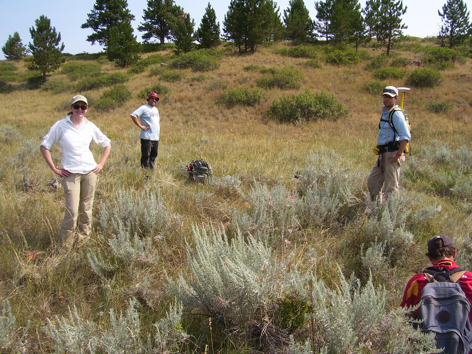 Rosebud Battlefield: A Brief Tour of Rosebud Battlefield State Park ...