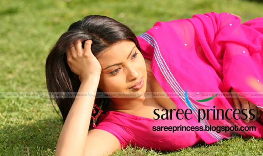 South indian actress Srijana shocking exposure in pink sari stills