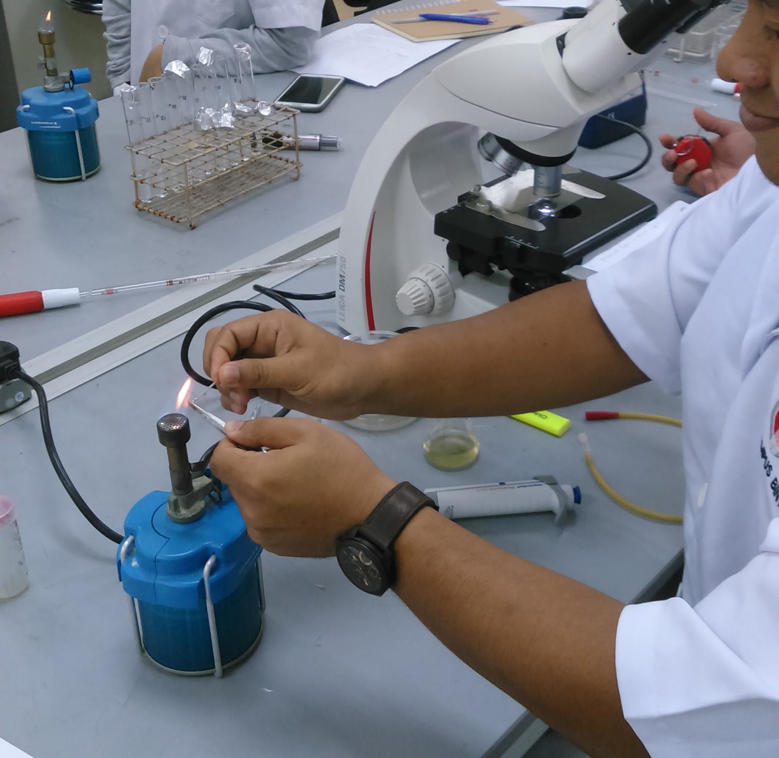 Floratic: ISOLATION OF MICROALGAE