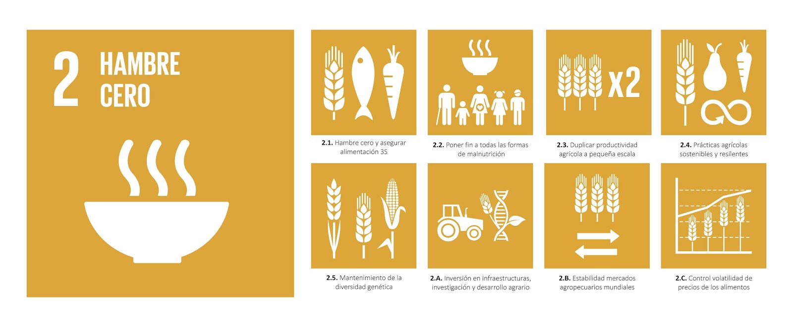 ALMAGRA: Metas y Objetivos Agenda 2030: ODS2 Hambre cero