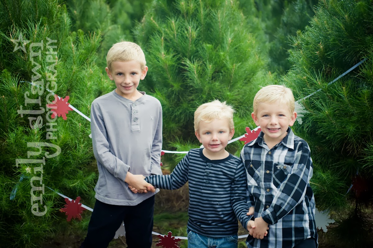 Emily Strawn Photography