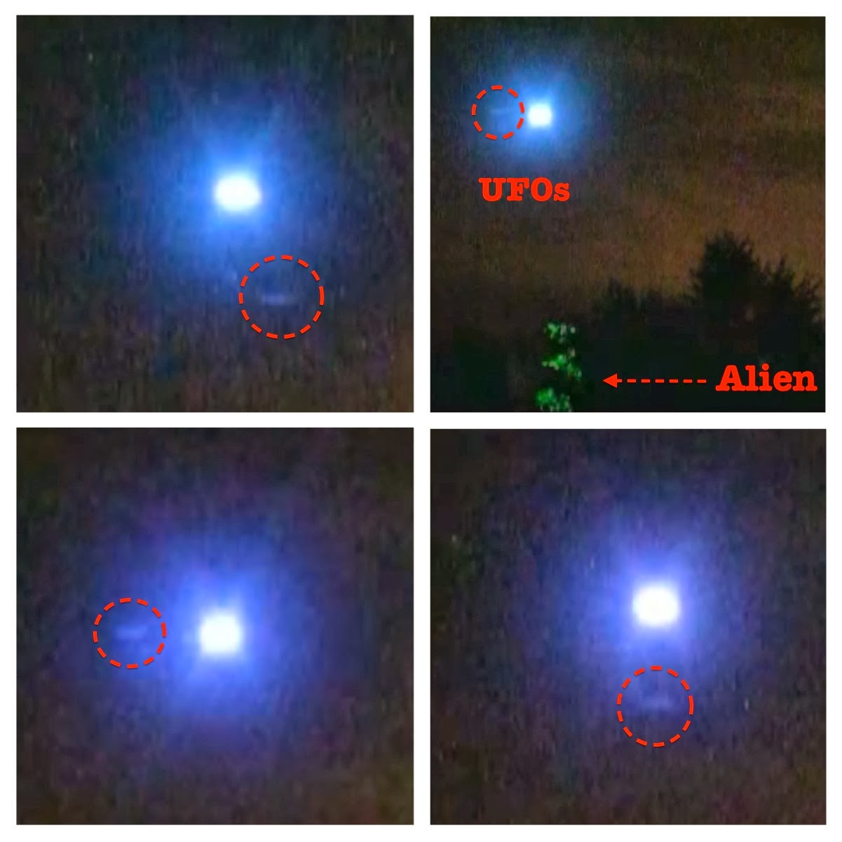 UFO Drops Alien Off, Returns To Pick Green Entity Up, Photos And Video ...