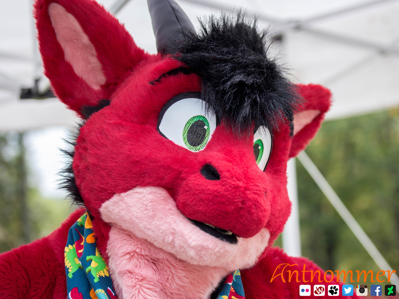 Just Anteater Things: Looking Back: Western Pennsylvania Furry Weekend