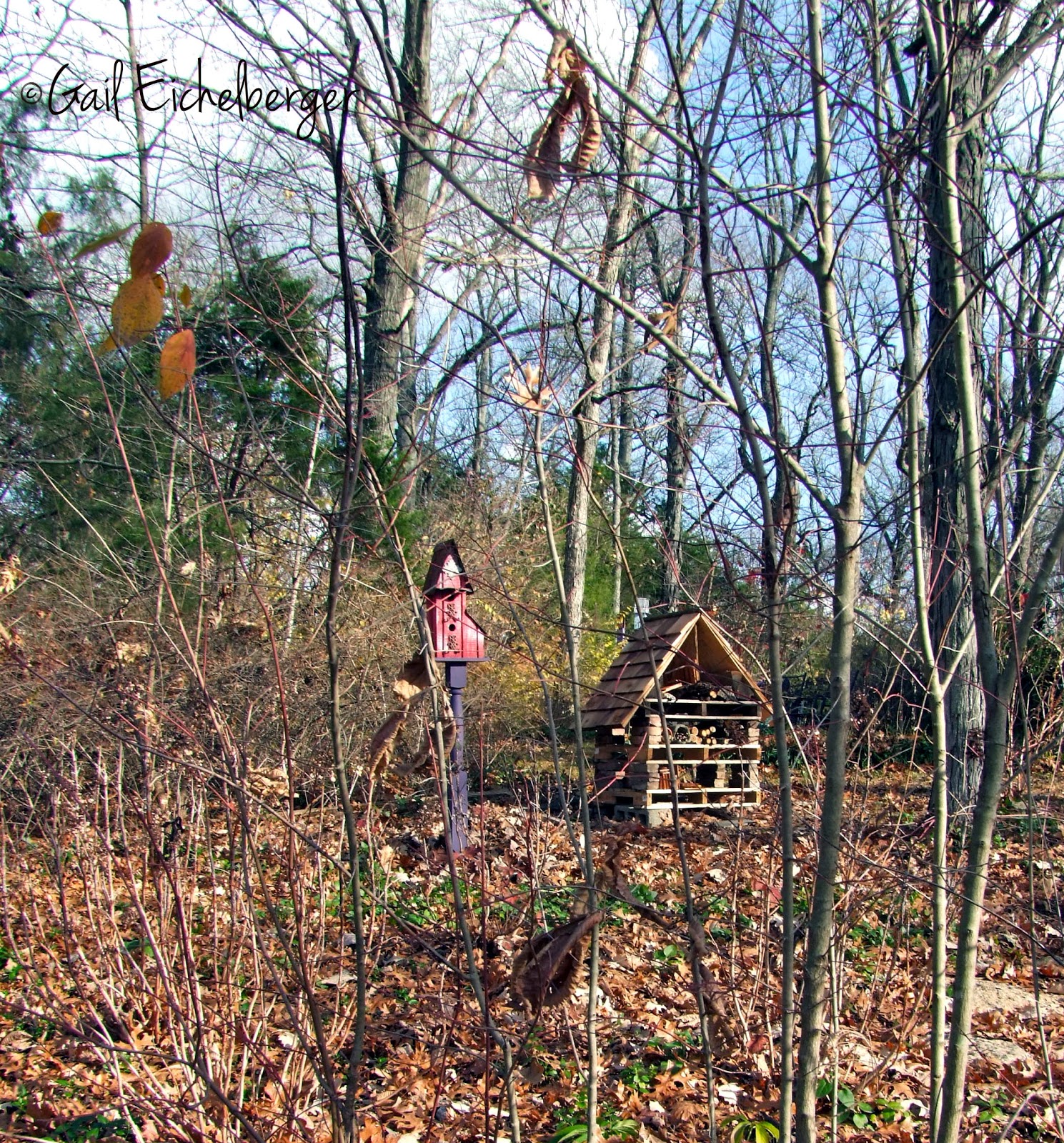 clay and limestone: The Pollinator Condo How-To
