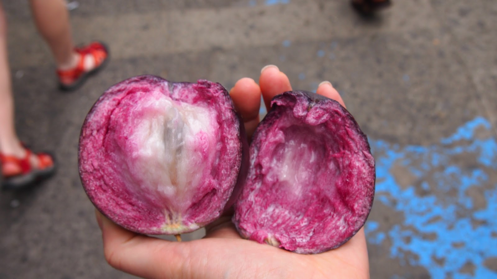 sing the body electric: Mariposas, caimito, y un inability to speak ...