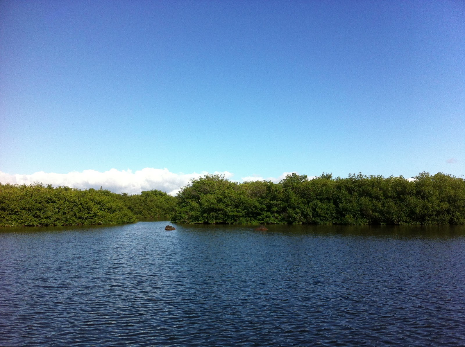 Pohukaina Cave: Waikele-Hoaeae