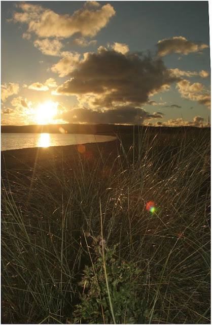 Islay Natural History Trust: The Strand this evening