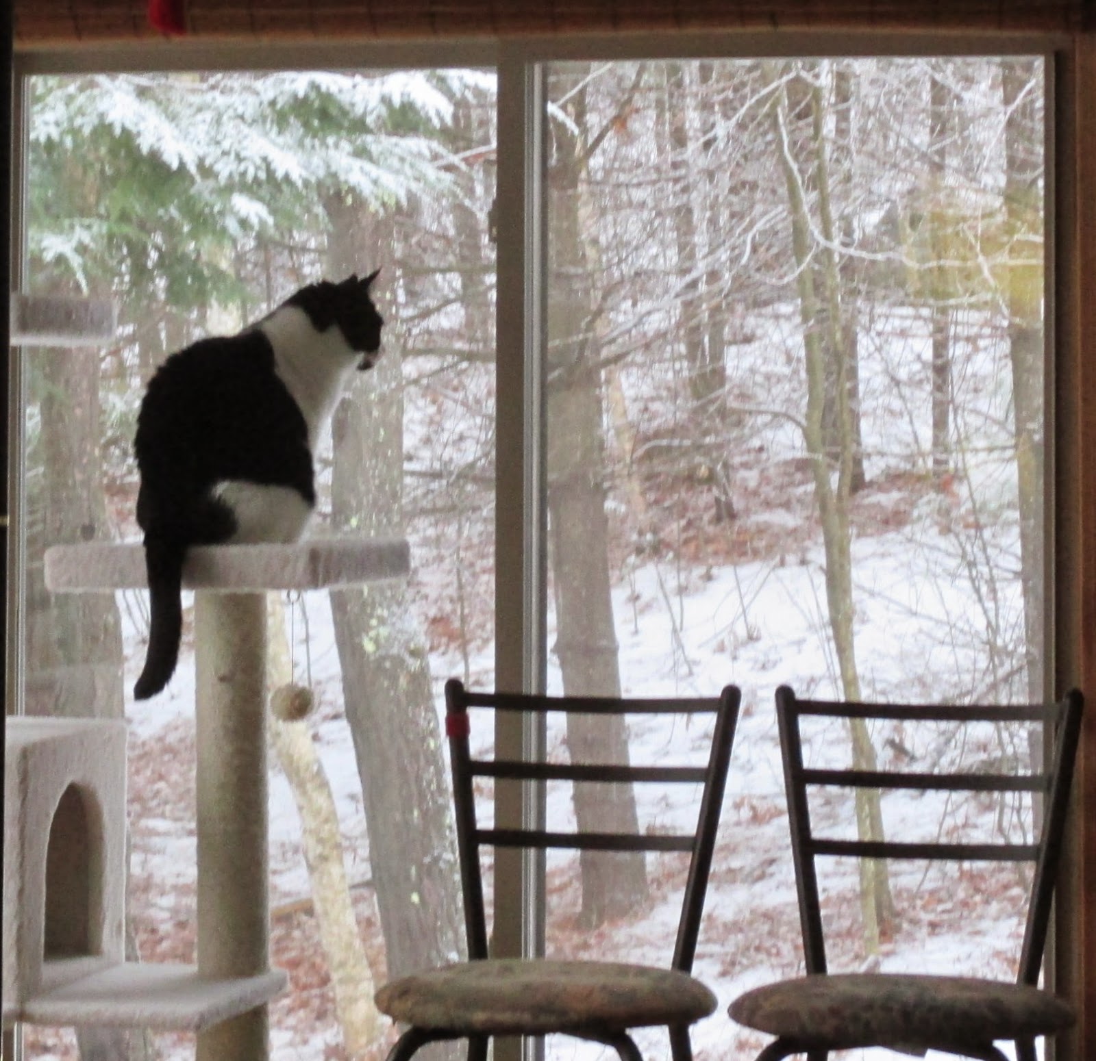 Darling Millie: Cold, Colder, Coldest