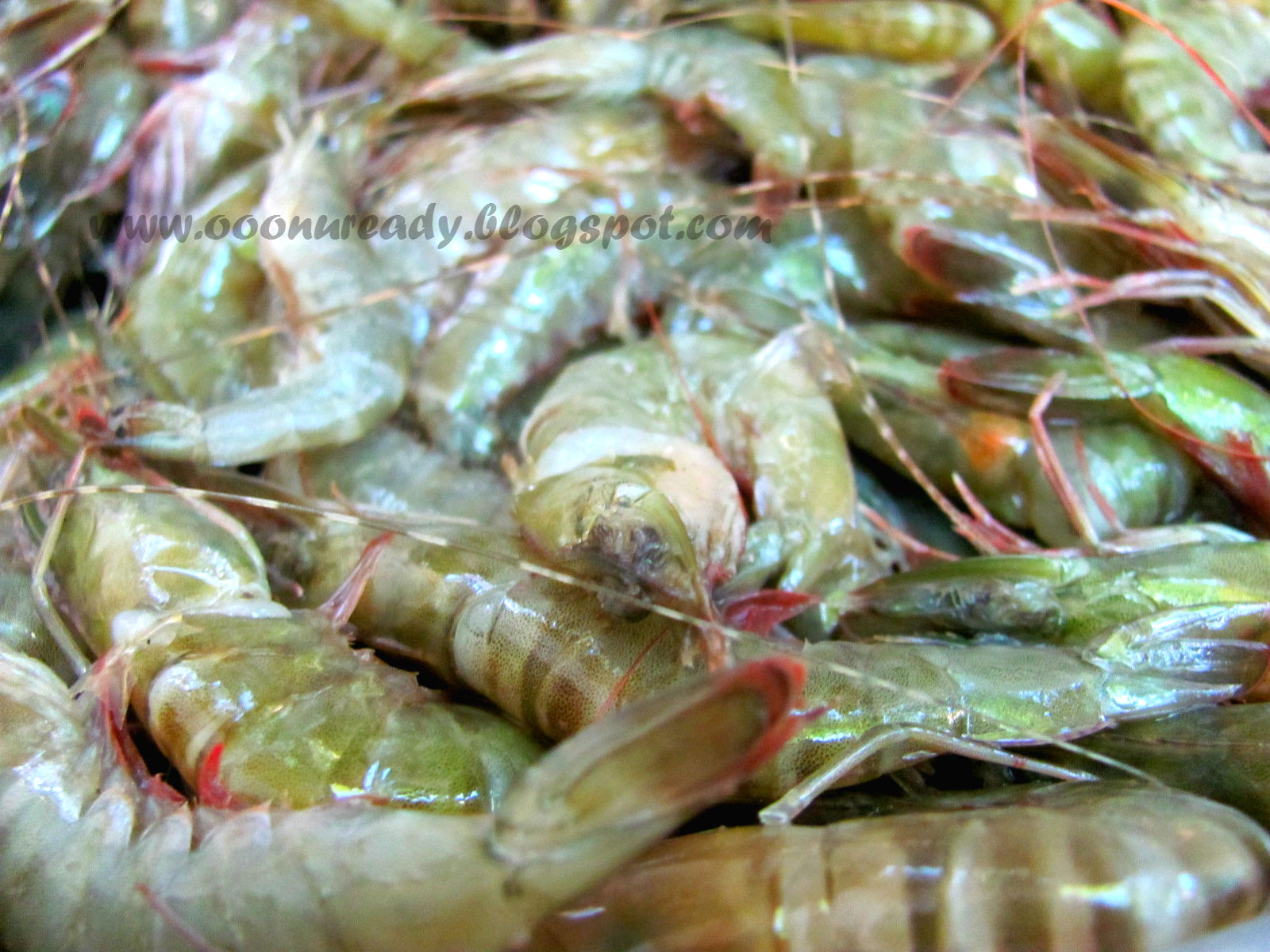 Oonu ready: Prawns pickle