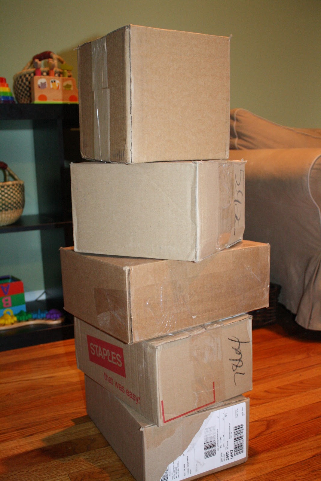 Naturally Curious: Box Blocks