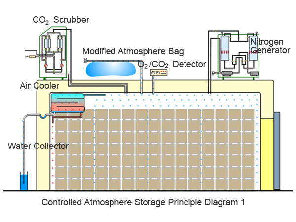 Teknik Pendingin: Controlled Atmosphere Storage