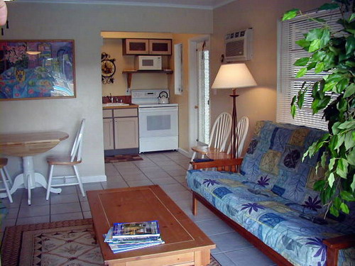 Several Good Suggestions for Designing Your Efficiency Apartments ...