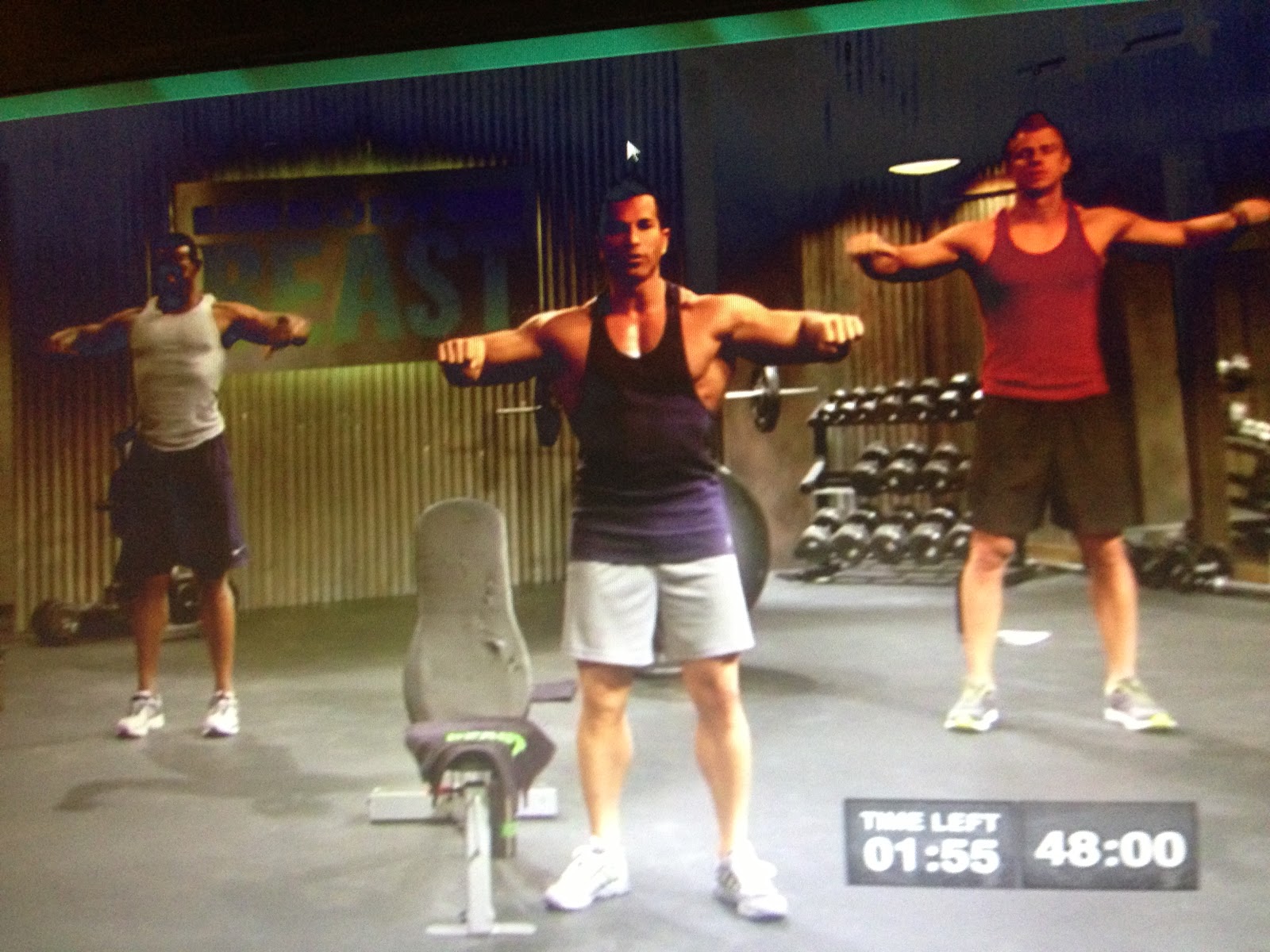 A Fit Nurse: Body Beast Program: Achieve that FIT Physique