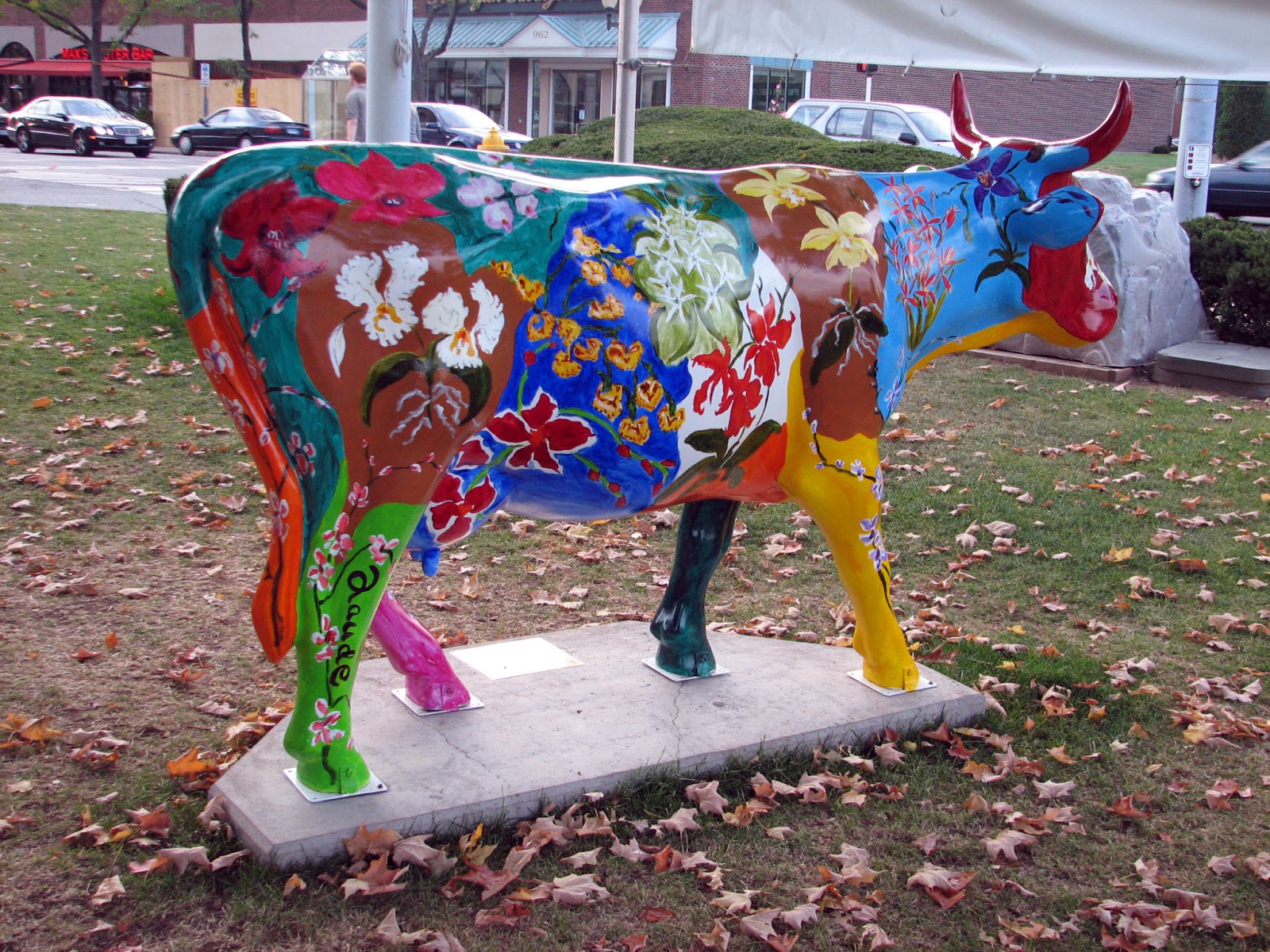 Gone Golf'in or Gone Photograph'in: The Cows of West Hartford