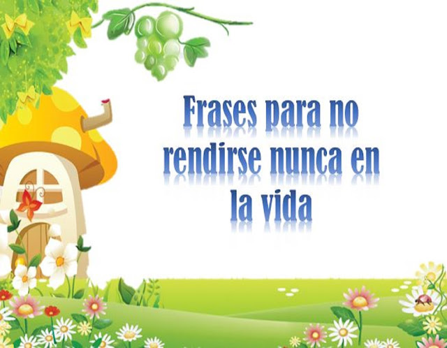 🌱💥 💥🌱 Frases para no rendirse nunca en la vida, el deporte y el amor 🌱💥 ...